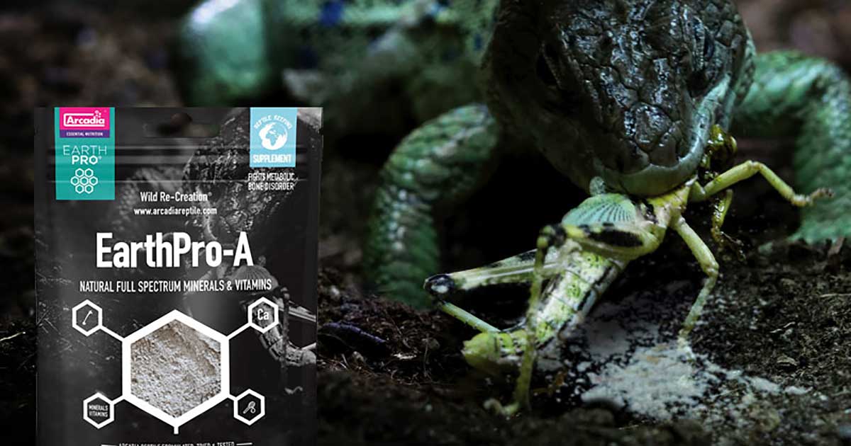 Arcadia EarthPro Vitamin A, 100g Pouch - Serpentia