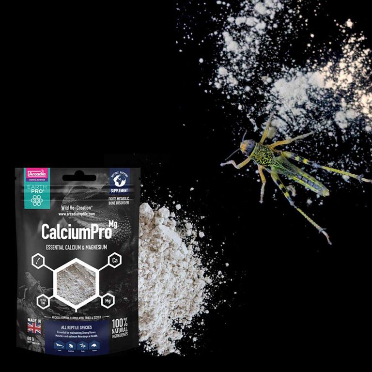 Arcadia Calcium Pro Mg | 450 gram Resealable Packet - Serpentia