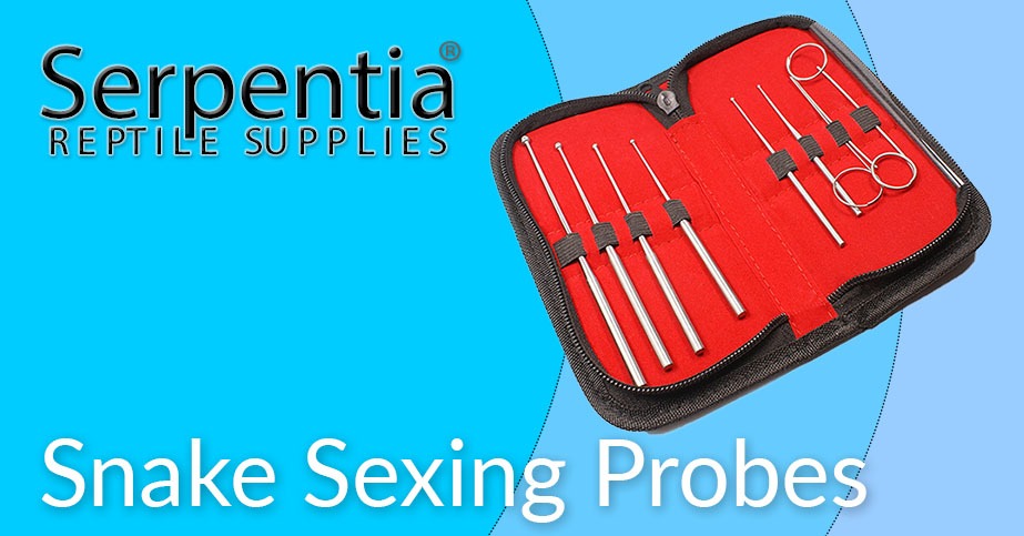 Professional Snake Sexing Probes - Serpentia 9 Piece Set with Case