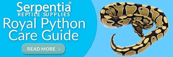 Reptile Supplies UK | Leading Brands | Order Online | Serpentia