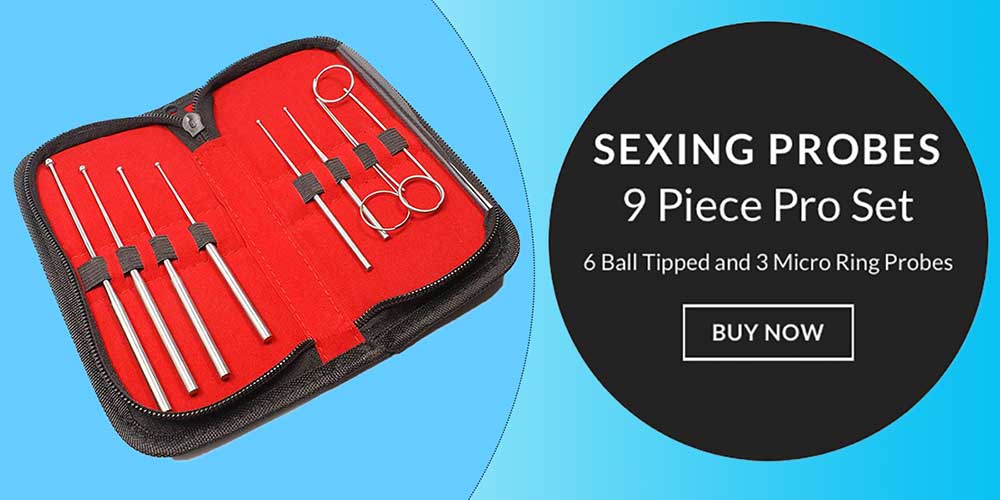 Reptile Supplies UK - Leading Brands - Order Online - Serpentia