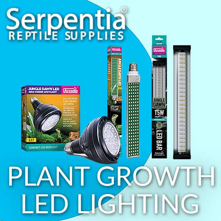 Arcadia Jungle Dawn LED Full Spectrum Lighting | Serpentia