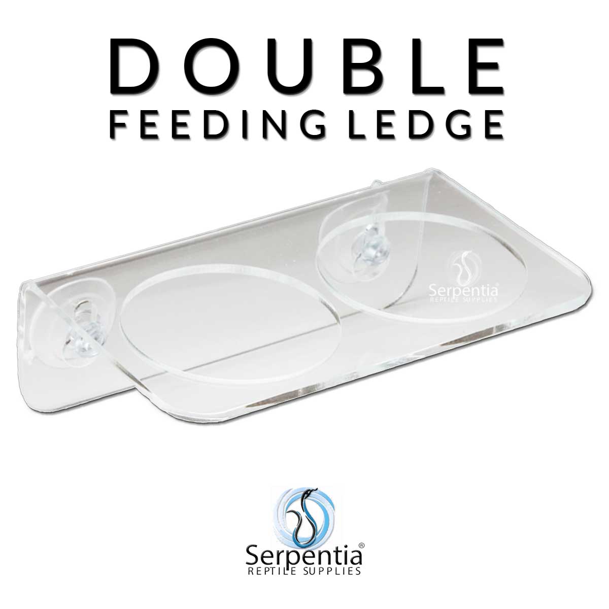 Habistat Arboreal Single Feeding Ledge - Serpentia Reptile Supplies