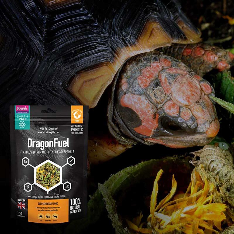 Arcadia EarthPro Dragon Fuel, 125g Pouch - Serpentia