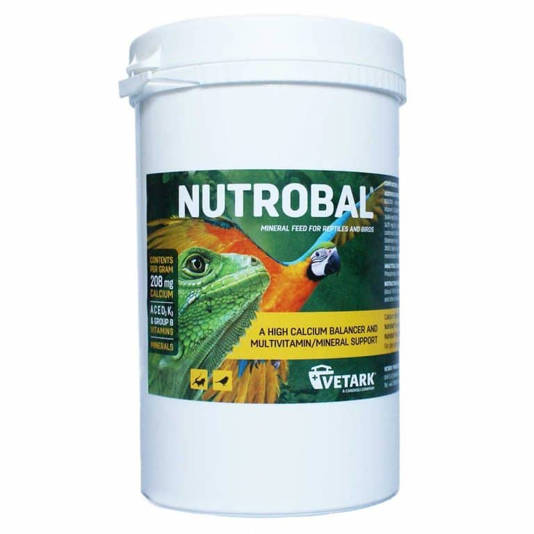 Reptile Supplies UK - Leading Brands - Order Online - Serpentia