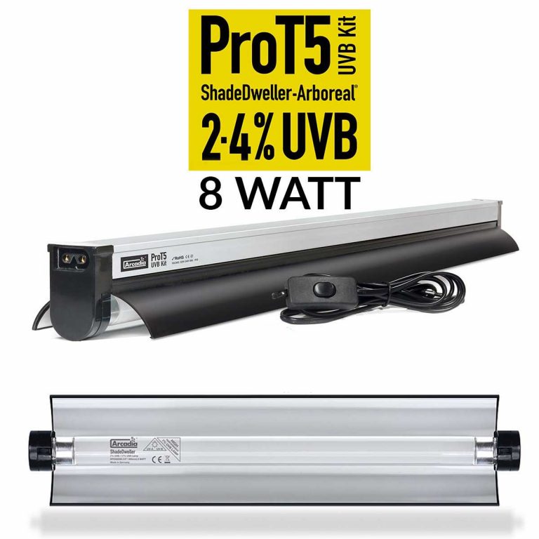 Arcadia ProT5 ShadeDweller Arboreal 8w, 2.4% UVB Kit - Serpentia