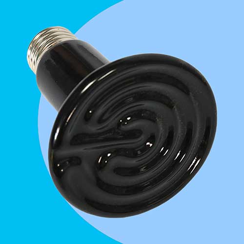 Ceramic Heat Lamps - Serpentia